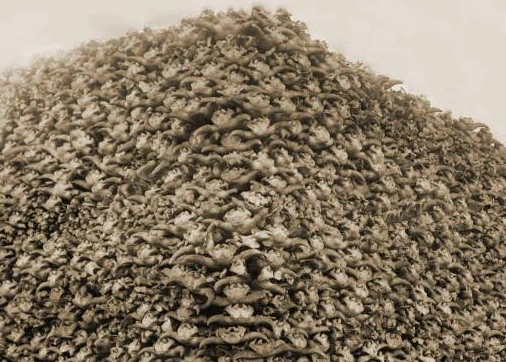 SCP-1183 | Wiki Fundação SCP | Fandom