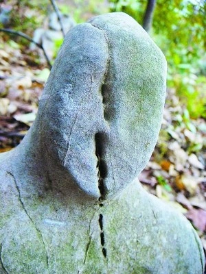 SCP-1503 | Wiki Fundação SCP | Fandom