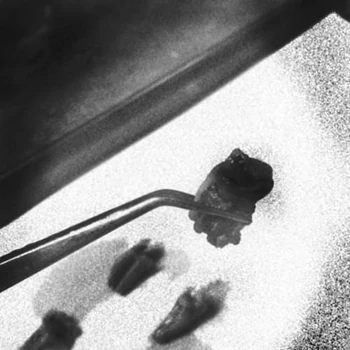 SCP-1994 | Wiki Fundação SCP | Fandom