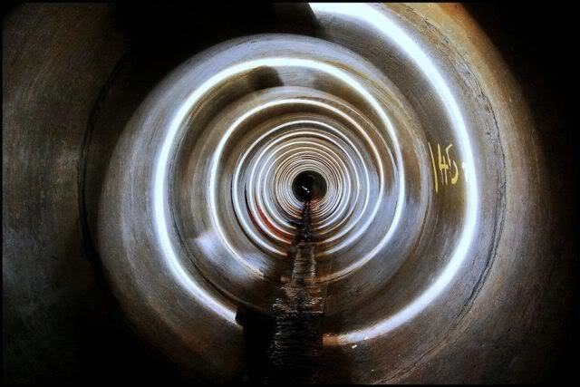 SCP-903 | Wiki Fundação SCP | Fandom