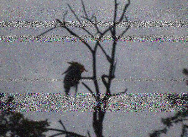 SCP-746 | Wiki Fundação SCP | Fandom