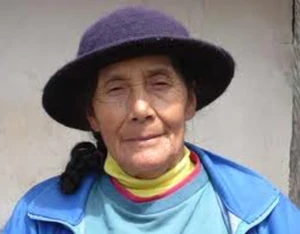 SCP-1709 | Wiki Fundação SCP | Fandom