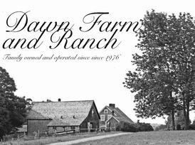 SCP-1255 | Wiki Fundação SCP | Fandom