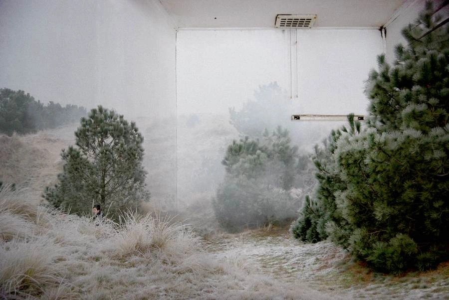 SCP-1479 | Wiki Fundação SCP | Fandom