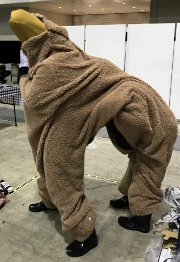 SCP-1545 | Wiki Fundação SCP | Fandom