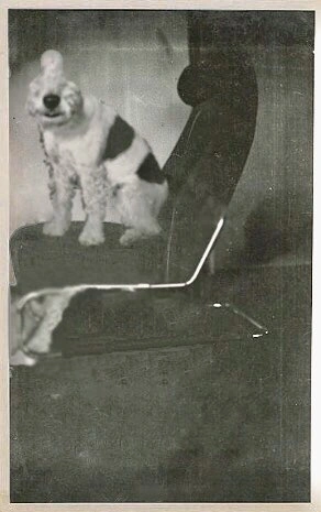 SCP-1929 | Wiki Fundação SCP | Fandom