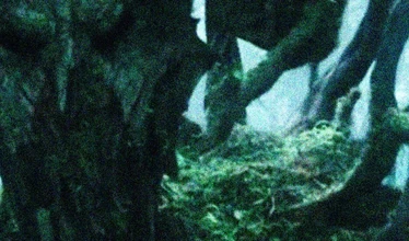 SCP-1500 | Wiki Fundação SCP | Fandom