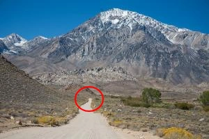 SCP-1555 | Wiki Fundação SCP | Fandom