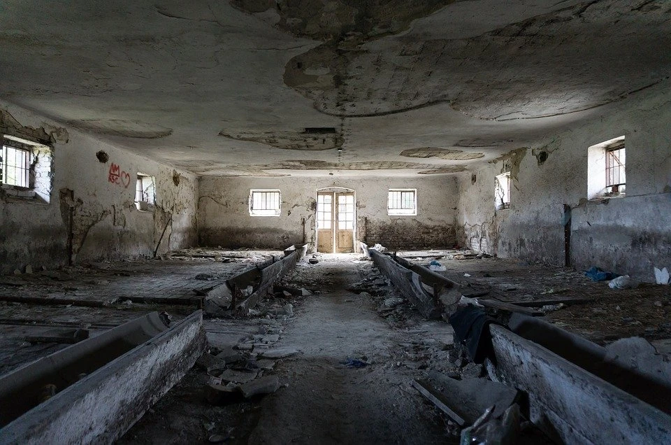 SCP-329 | Wiki Fundação SCP | Fandom