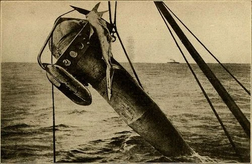 SCP-019-PT-J | Wiki Fundação SCP | Fandom