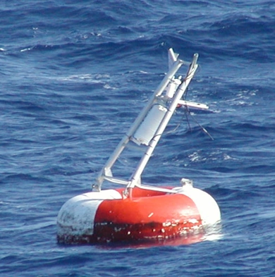 SCP-1382 | Wiki Fundação SCP | Fandom