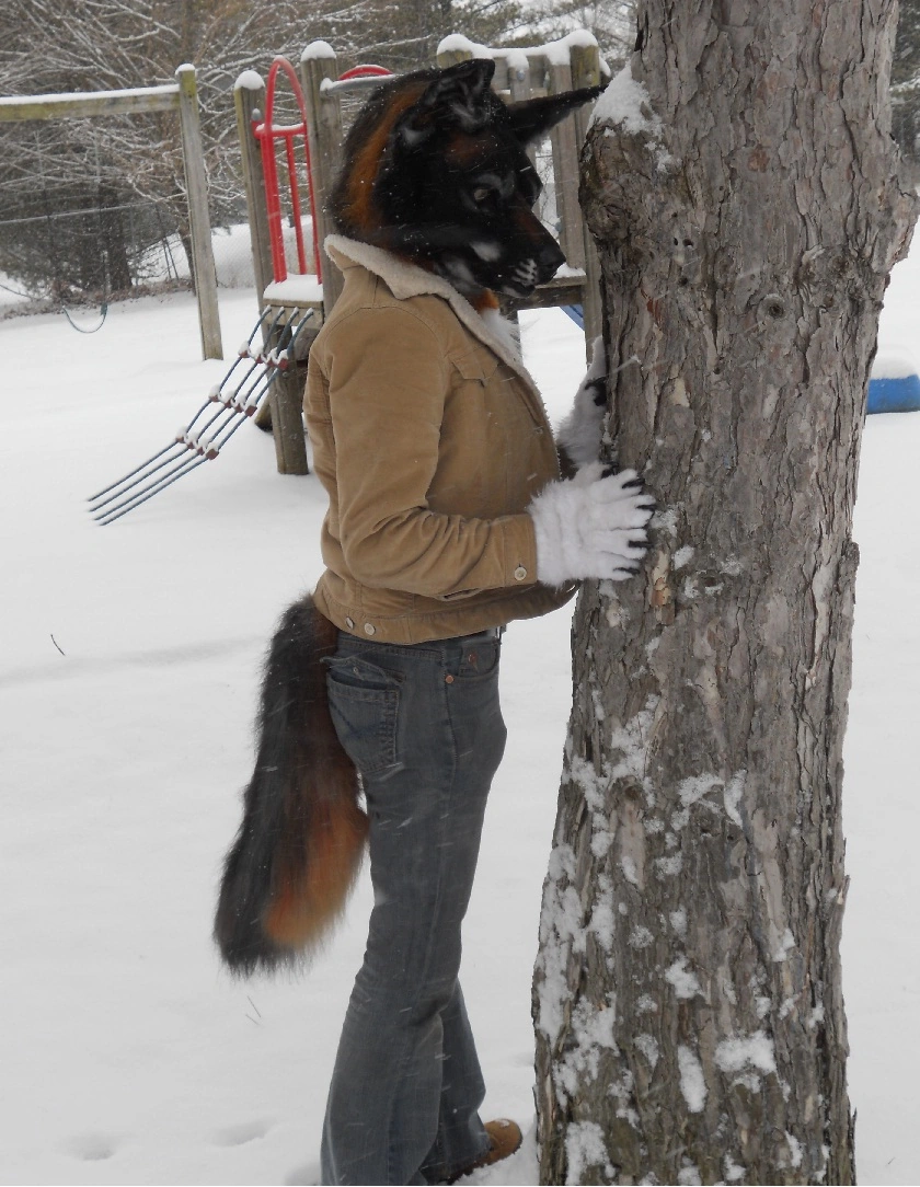 SCP-1241 | Wiki Fundação SCP | Fandom