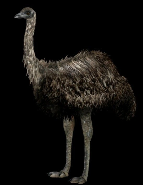 SCP-1849 | Wiki Fundação SCP | Fandom