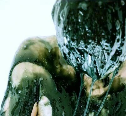 SCP-817 | Wiki Fundação SCP | Fandom