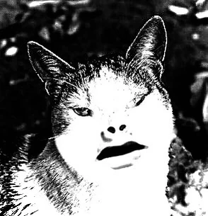 SCP-1929 | Wiki Fundação SCP | Fandom