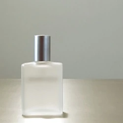 SCP-379 | Wiki Fundação SCP | Fandom