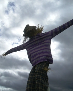 SCP-872 | Wiki Fundação SCP | Fandom