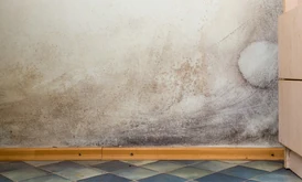 SCP-1105 | Wiki Fundação SCP | Fandom