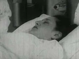 SCP-1229 | Wiki Fundação SCP | Fandom