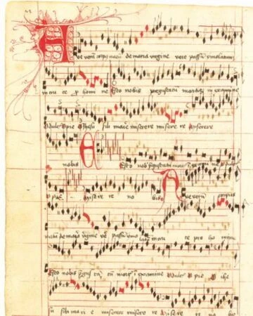 SCP-381 | Wiki Fundação SCP | Fandom