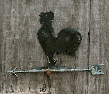 SCP-1149 | Wiki Fundação SCP | Fandom