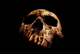 SCP-077 | Wiki Fundação SCP | Fandom