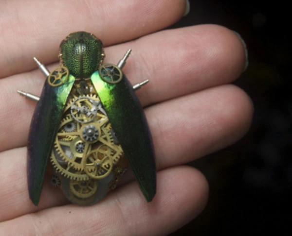 SCP-816 | Wiki Fundação SCP | Fandom