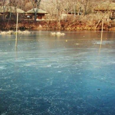 SCP-1202 | Wiki Fundação SCP | Fandom