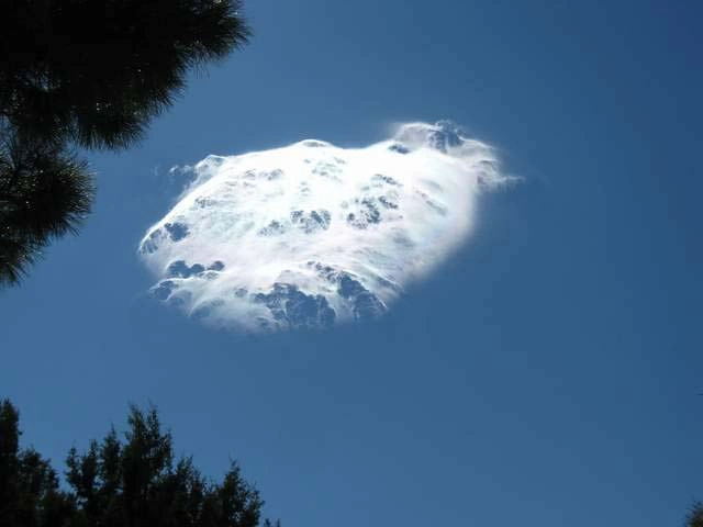 SCP-1506 | Wiki Fundação SCP | Fandom