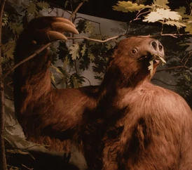 SCP-1405 | Wiki Fundação SCP | Fandom