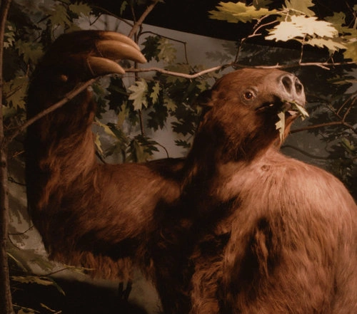 SCP-1405 | Wiki Fundação SCP | Fandom