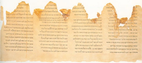 SCP-1259 | Wiki Fundação SCP | Fandom