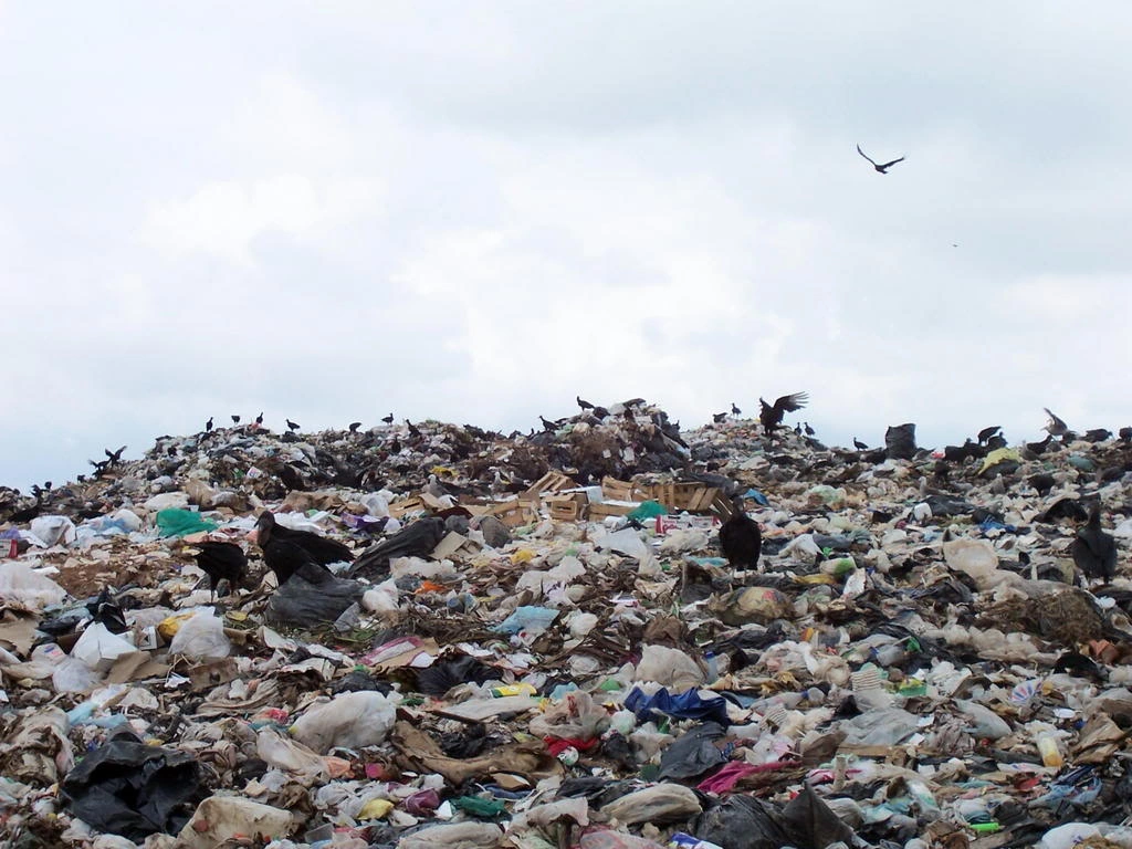 SCP-1330 | Wiki Fundação SCP | Fandom