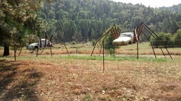 SCP-100 | Wiki Fundação SCP | Fandom