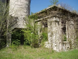 SCP-1100 | Wiki Fundação SCP | Fandom