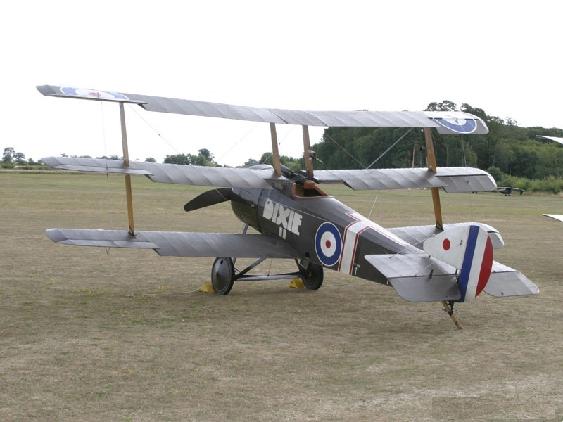 SCP-1850 | Wiki Fundação SCP | Fandom