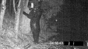 SCP-932 | Wiki Fundação SCP | Fandom