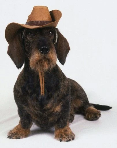 SCP-180 | Wiki Fundação SCP | Fandom