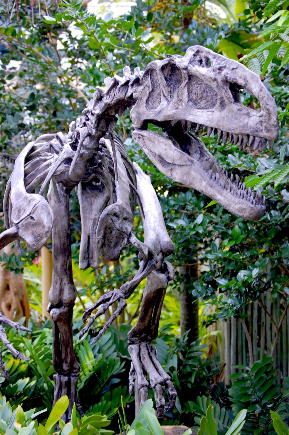 SCP-250 | Wiki Fundação SCP | Fandom