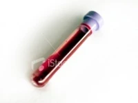 SCP-528 | Wiki Fundação SCP | Fandom