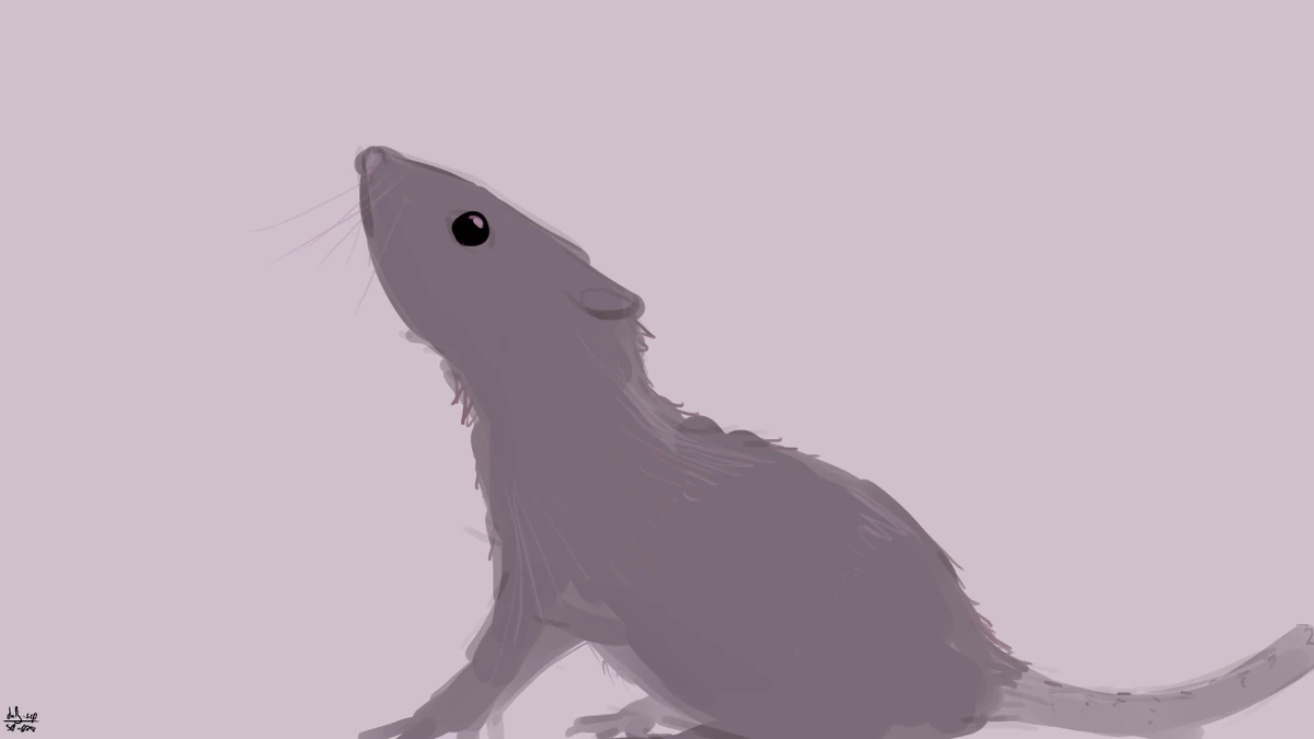 SCP-625 | Wiki Fundação SCP | Fandom