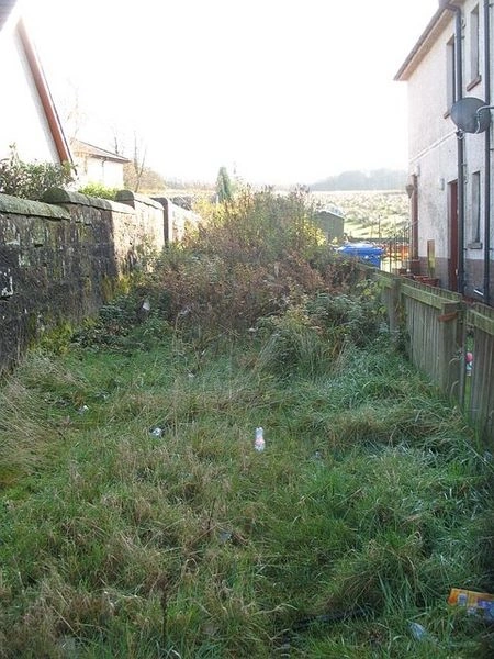 SCP-1967 | Wiki Fundação SCP | Fandom