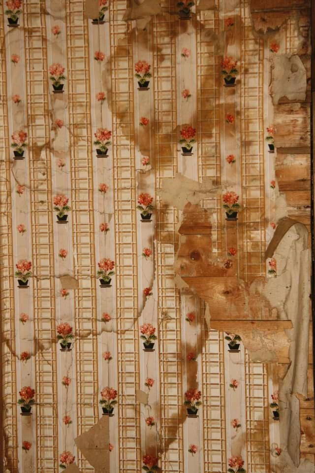 SCP-1205 | Wiki Fundação SCP | Fandom