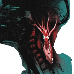 SCP-164 | Wiki Fundação SCP | Fandom