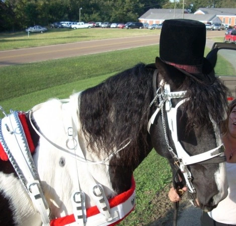 SCP-1156 | Wiki Fundação SCP | Fandom