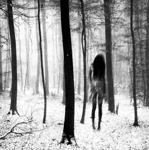 SCP-1692 | Wiki Fundação SCP | Fandom