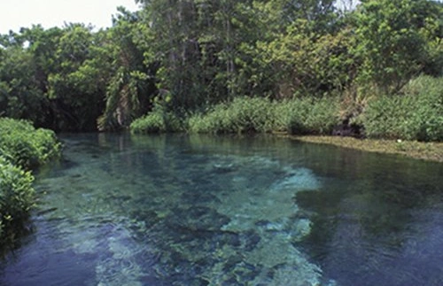 SCP-1464 | Wiki Fundação SCP | Fandom