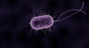 SCP-1368 | Wiki Fundação SCP | Fandom