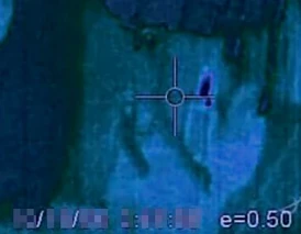 SCP-630 | Wiki Fundação SCP | Fandom