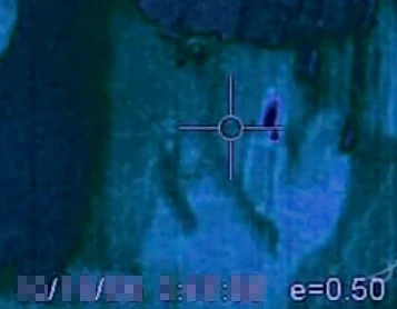 SCP-630 | Wiki Fundação SCP | Fandom